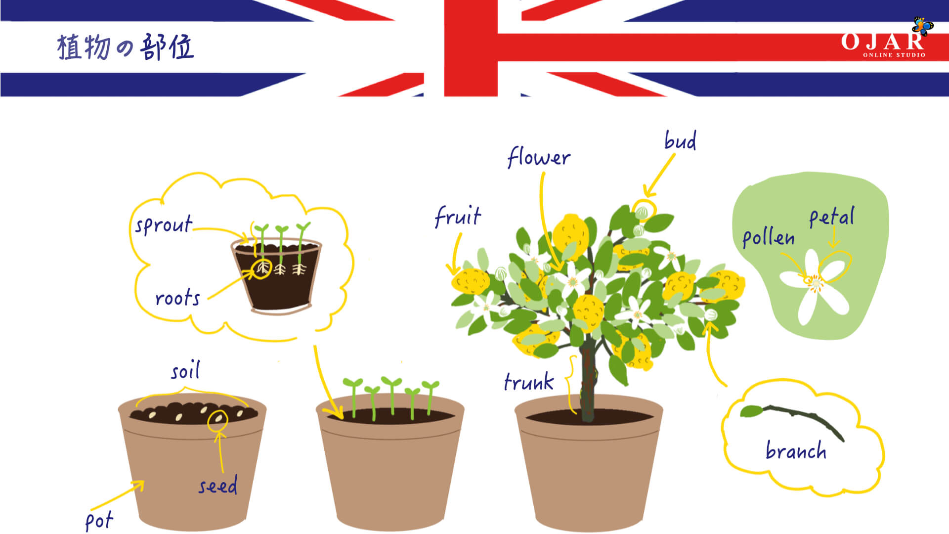 【ORT Level 1+】#49 The Lemon Pip のお話。 - OJAR ONLINE STUDIO